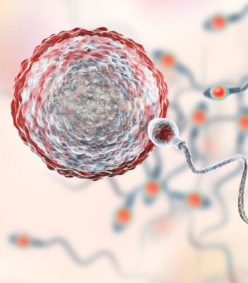 How Do We Pass on Life? The Science of Reproduction - Fundoo Tutor
